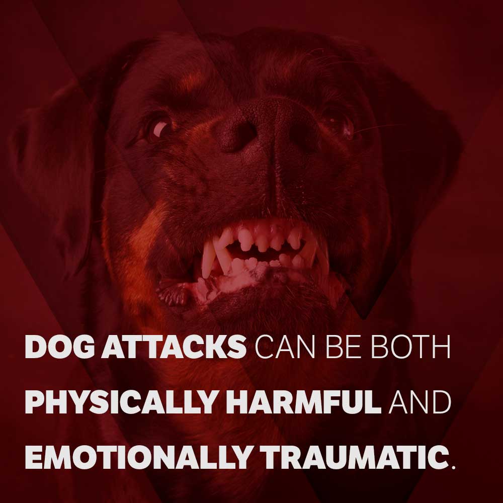 Dog Bite Injuries: What are 5 Common Dog Bite Injuries?